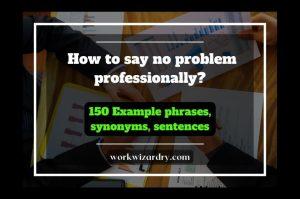 How to say no problem professionally? (160 Examples, synonyms, meaning ...