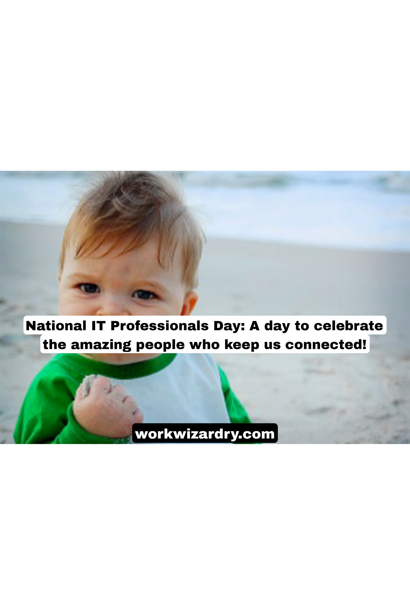 National IT Professionals Day Ideas To Celebrate Your Tech Heroes In ...