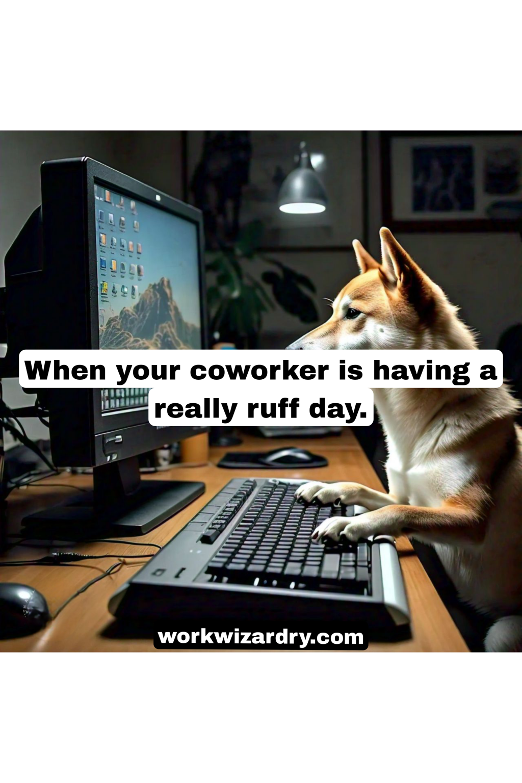 National Take Your Dog To Work Day Ideas, Activities And Tips For Your ...