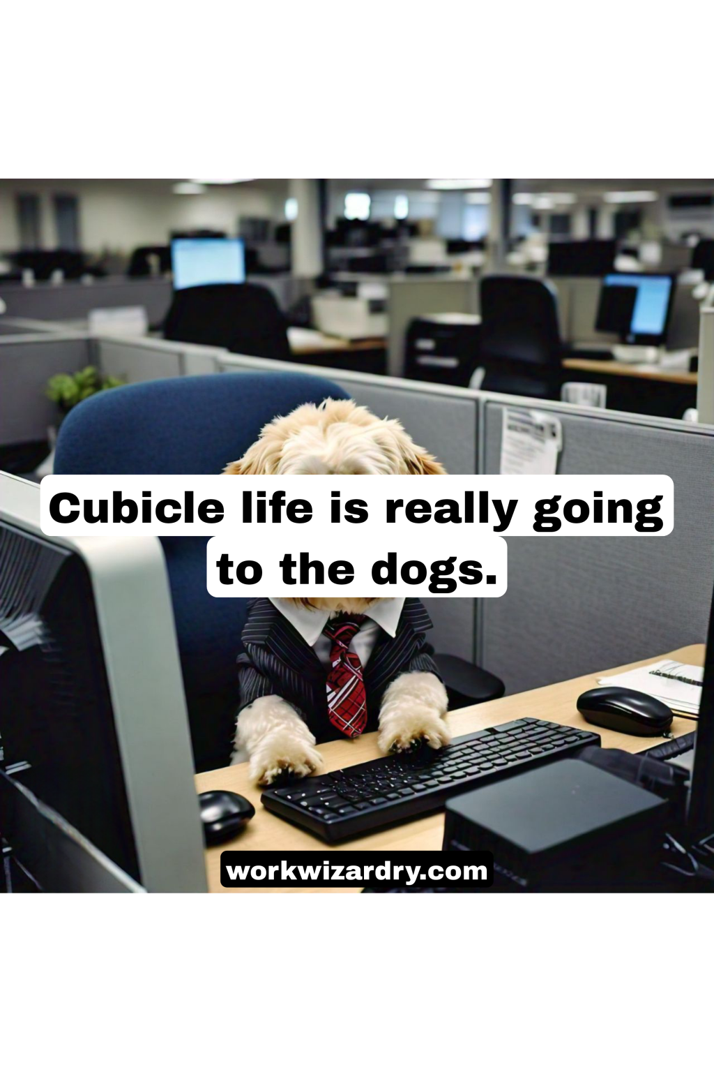 National Take Your Dog To Work Day Ideas, Activities And Tips For Your ...