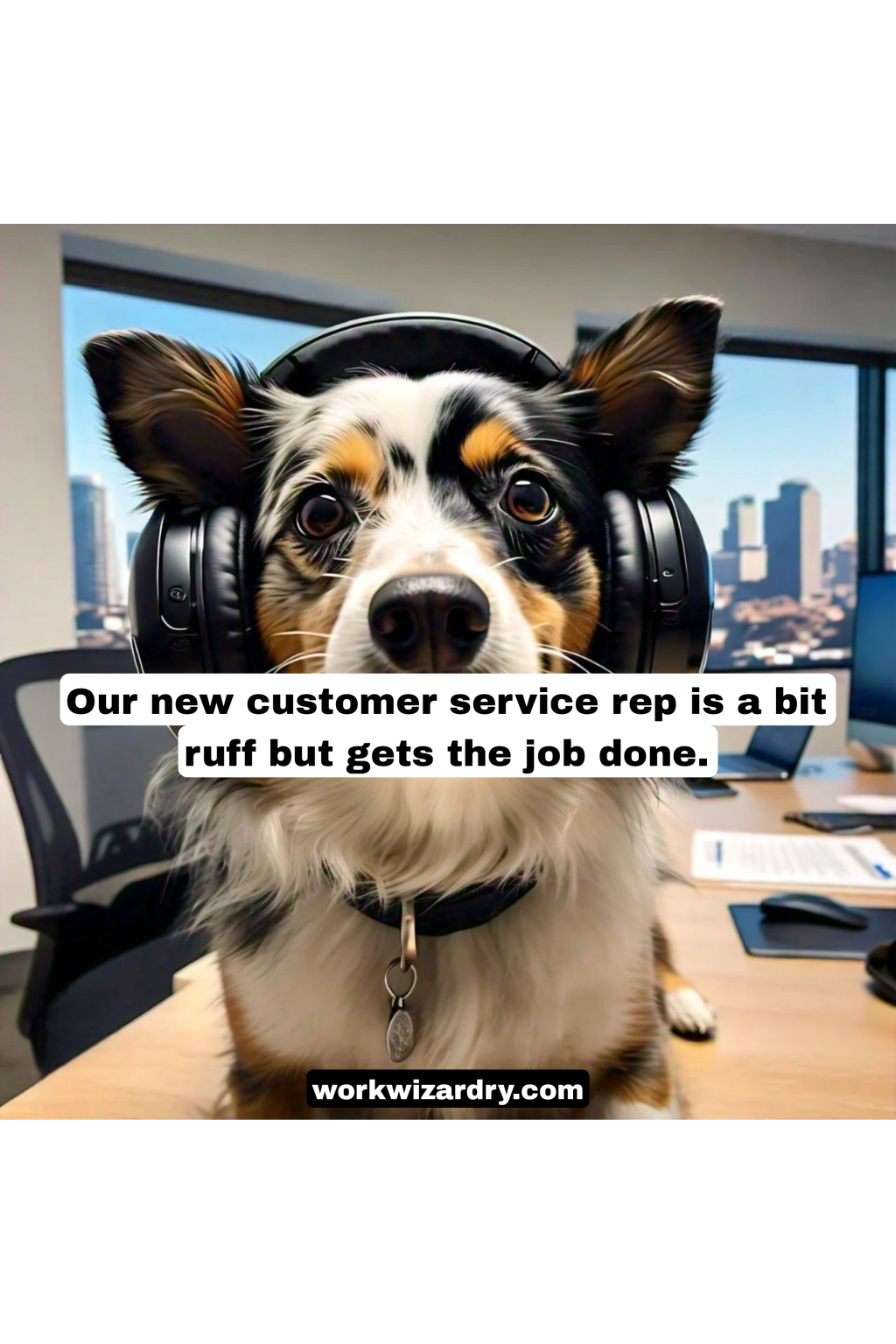 National Take Your Dog To Work Day Ideas, Activities And Tips For Your ...
