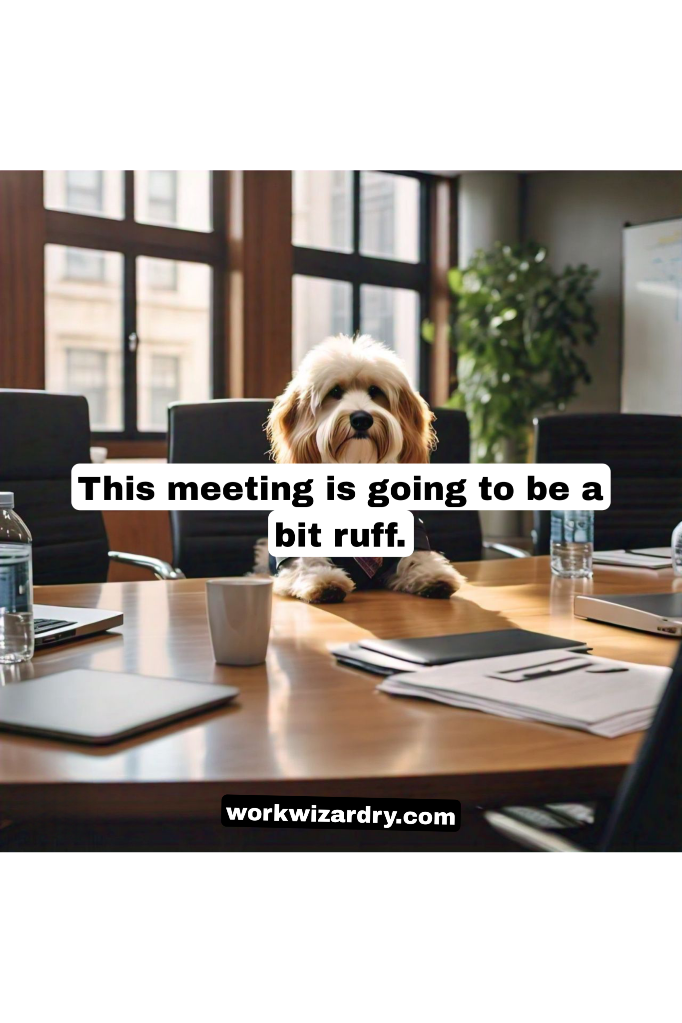 National Take Your Dog To Work Day Ideas, Activities And Tips For Your ...