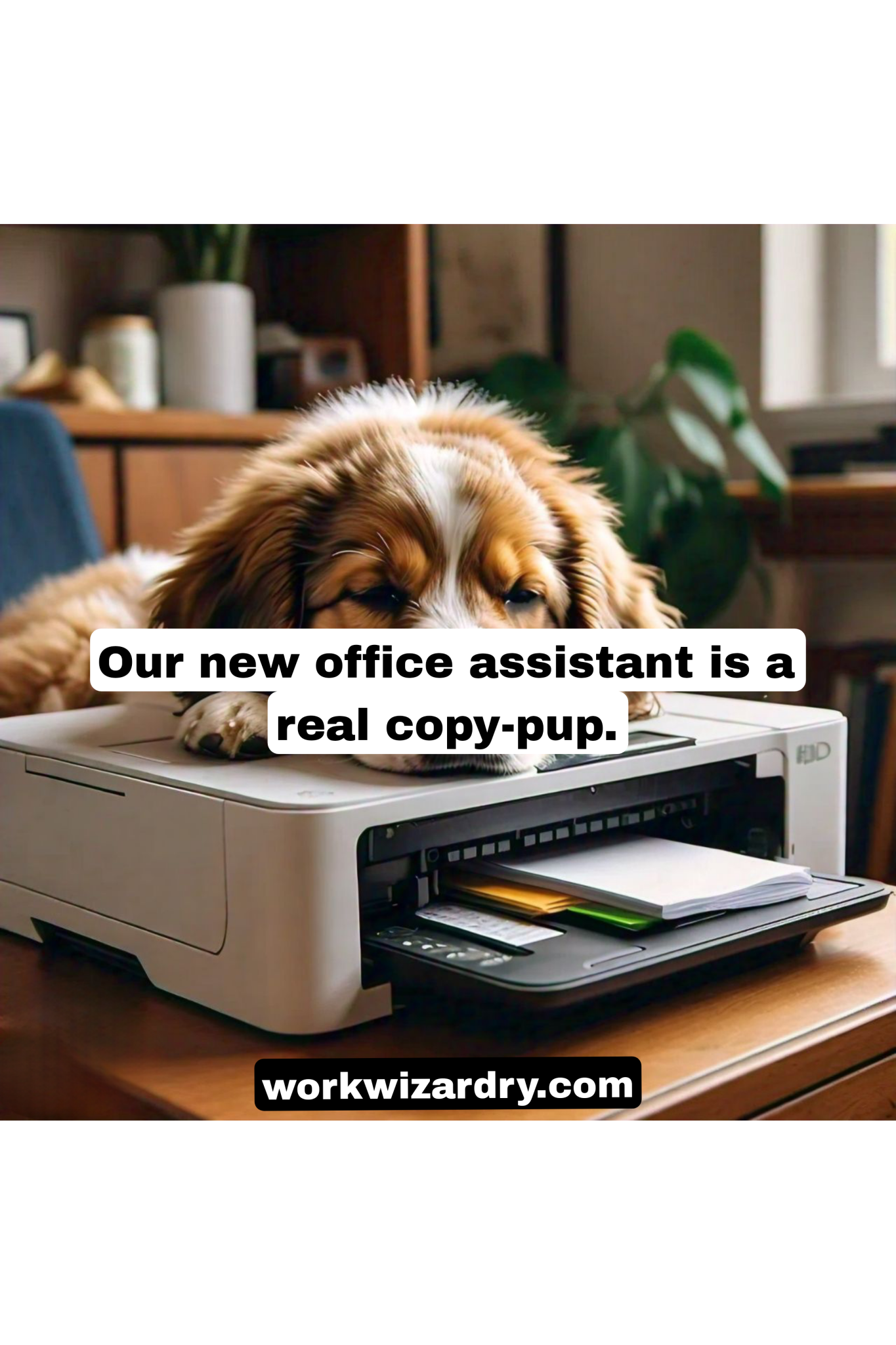 National Take Your Dog To Work Day Ideas, Activities And Tips For Your ...